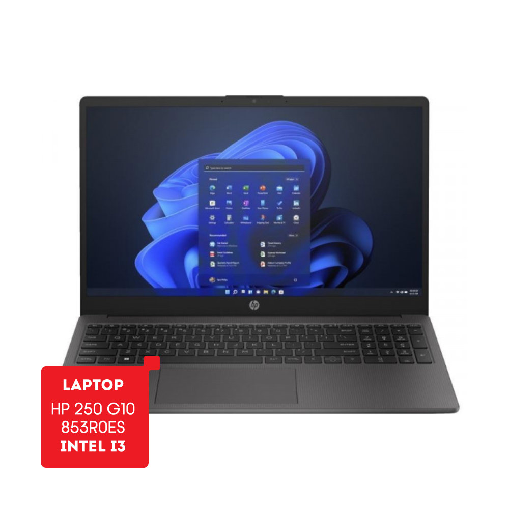 HP 250 G10 FHD - Antika